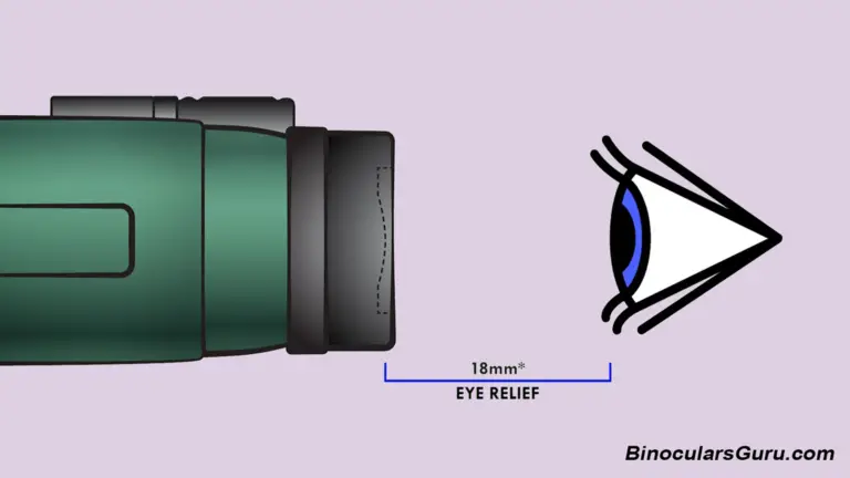 How To Focus Binoculars & Calibrate Binoculars for Your Eyes ...