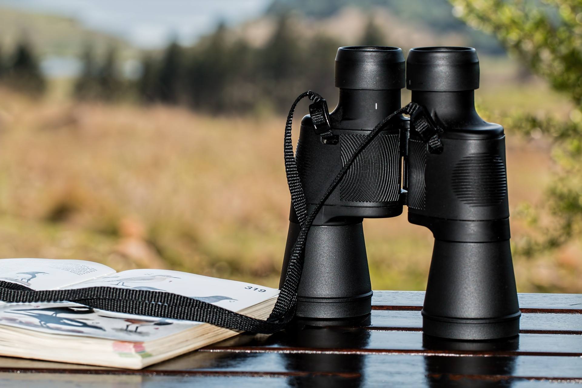 11 Best Compact Binoculars in the Market in-2024 Updated! {Don't Regret ...