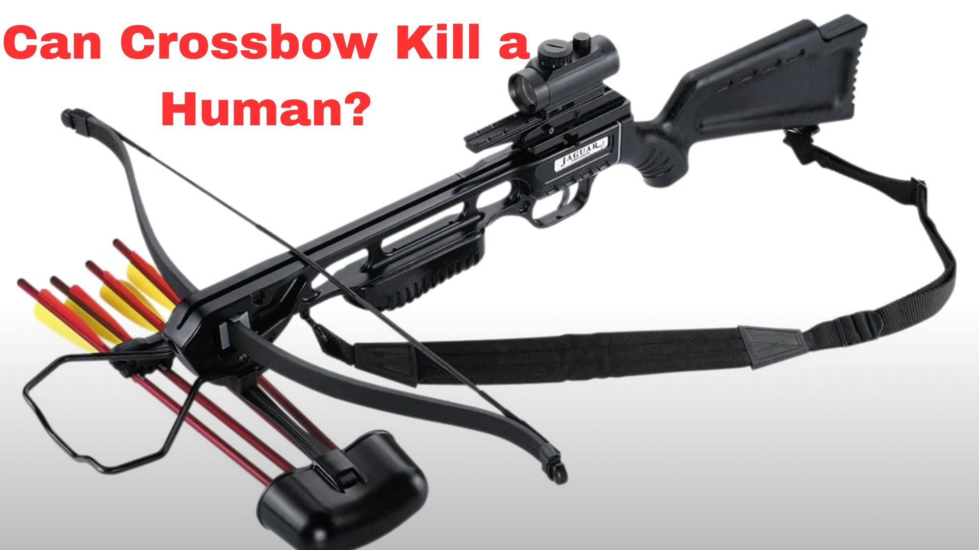 Can A Crossbow Kill Humans? - Binoculars Guru