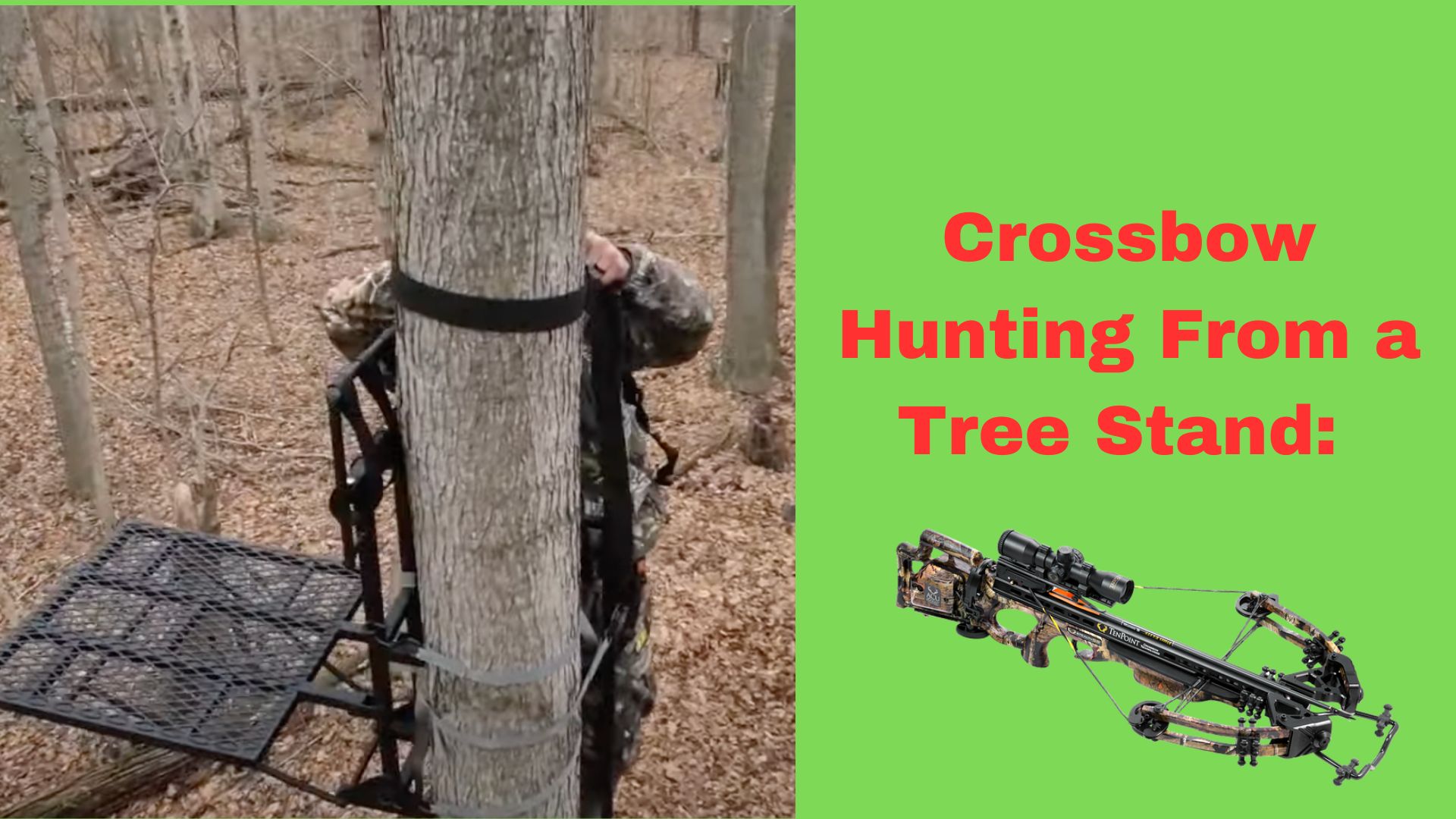 Crossbow Hunting from a Tree Stand: Things to Know! - Binoculars Guru