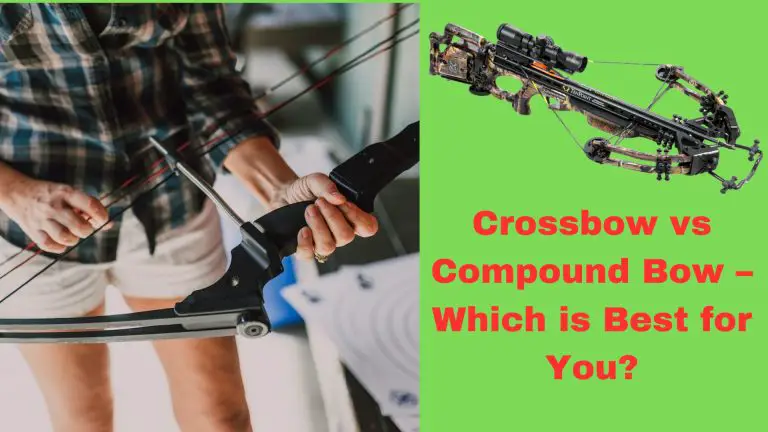 Crossbow Vs Compound Bow – Which Is Right For You? - Binoculars Guru