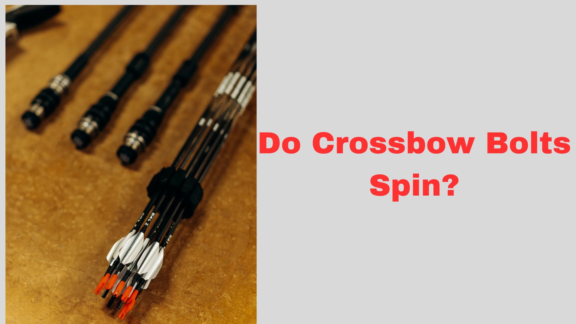 Do Crossbow Bolts Spin? - Binoculars Guru