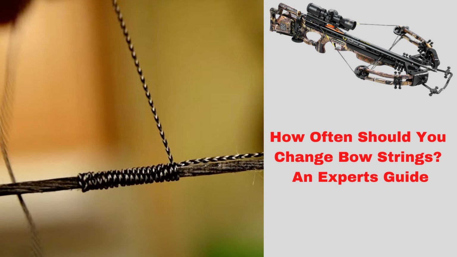How Often Should You Change Bow Strings? An Experts Guide - Binoculars Guru