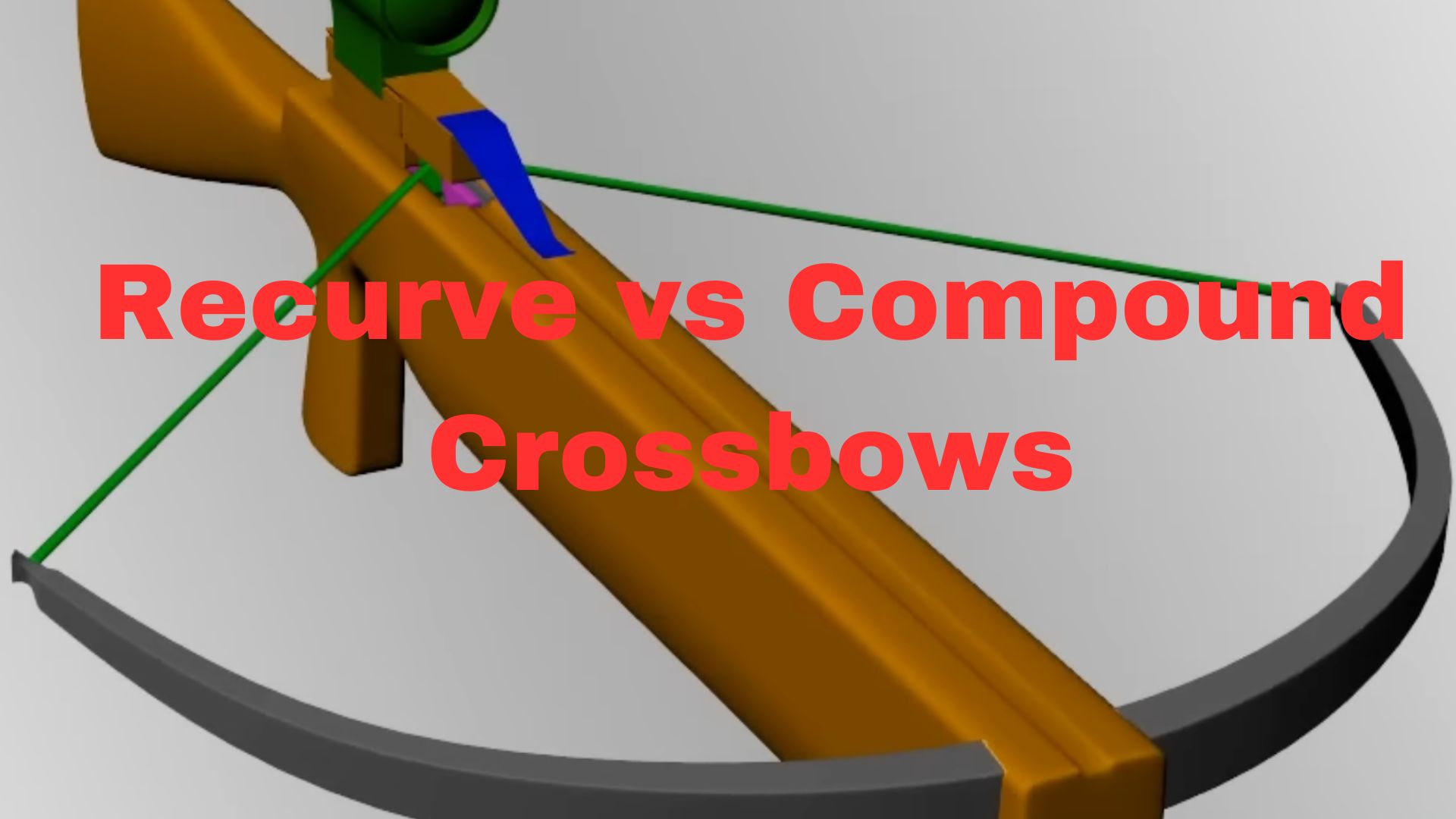 Recurve vs Compound Crossbows - Binoculars Guru