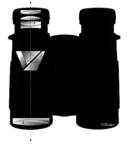 Abbe-Koenig Prisms Vs Schmidt-Pechan Prism Systems - Binoculars Guru