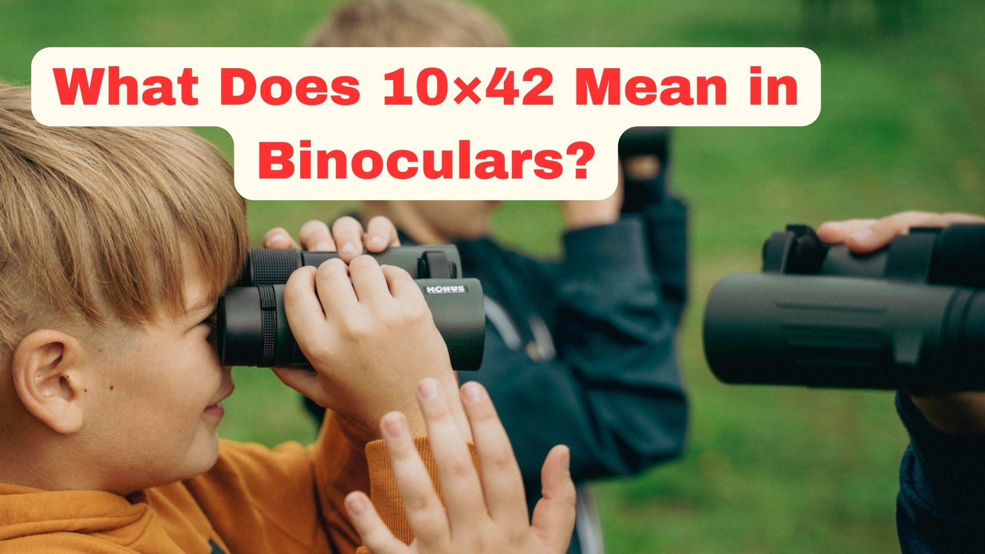 What Does 10×42 Mean in Binoculars? - Binoculars Guru
