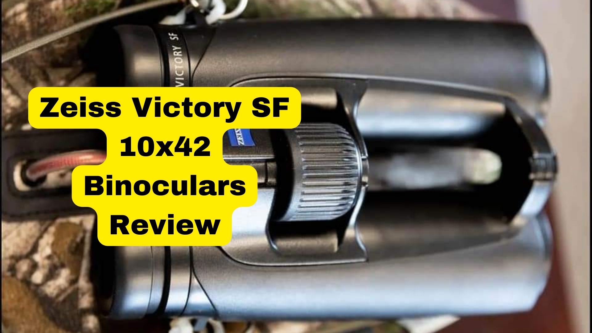 Zeiss Victory SF 10x42 Review-Field Tested! - Binoculars Guru