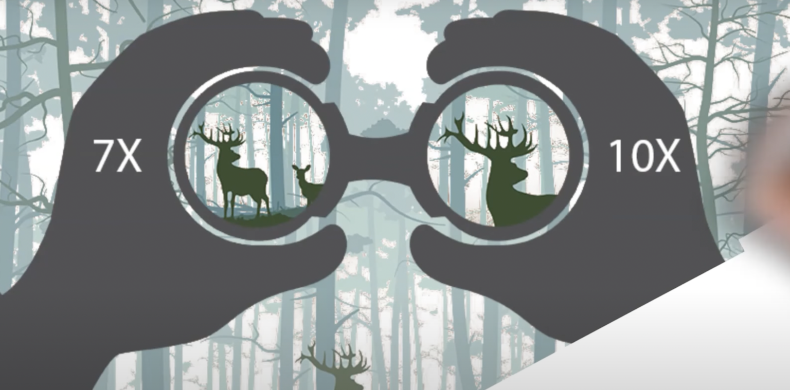7x50 Vs 10x50 Binoculars: Which One Is Better? - Binoculars Guru